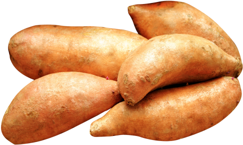 Download Download Yams Png Image - Yams Png - HD Transparent PNG ...