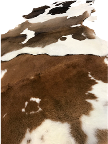 Download HD Hair On Calf Hide - Hair Transparent PNG Image - NicePNG.com