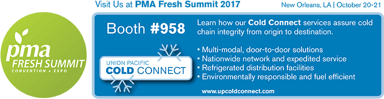 Download HD Photo - Prima Transparent PNG Image - NicePNG.com