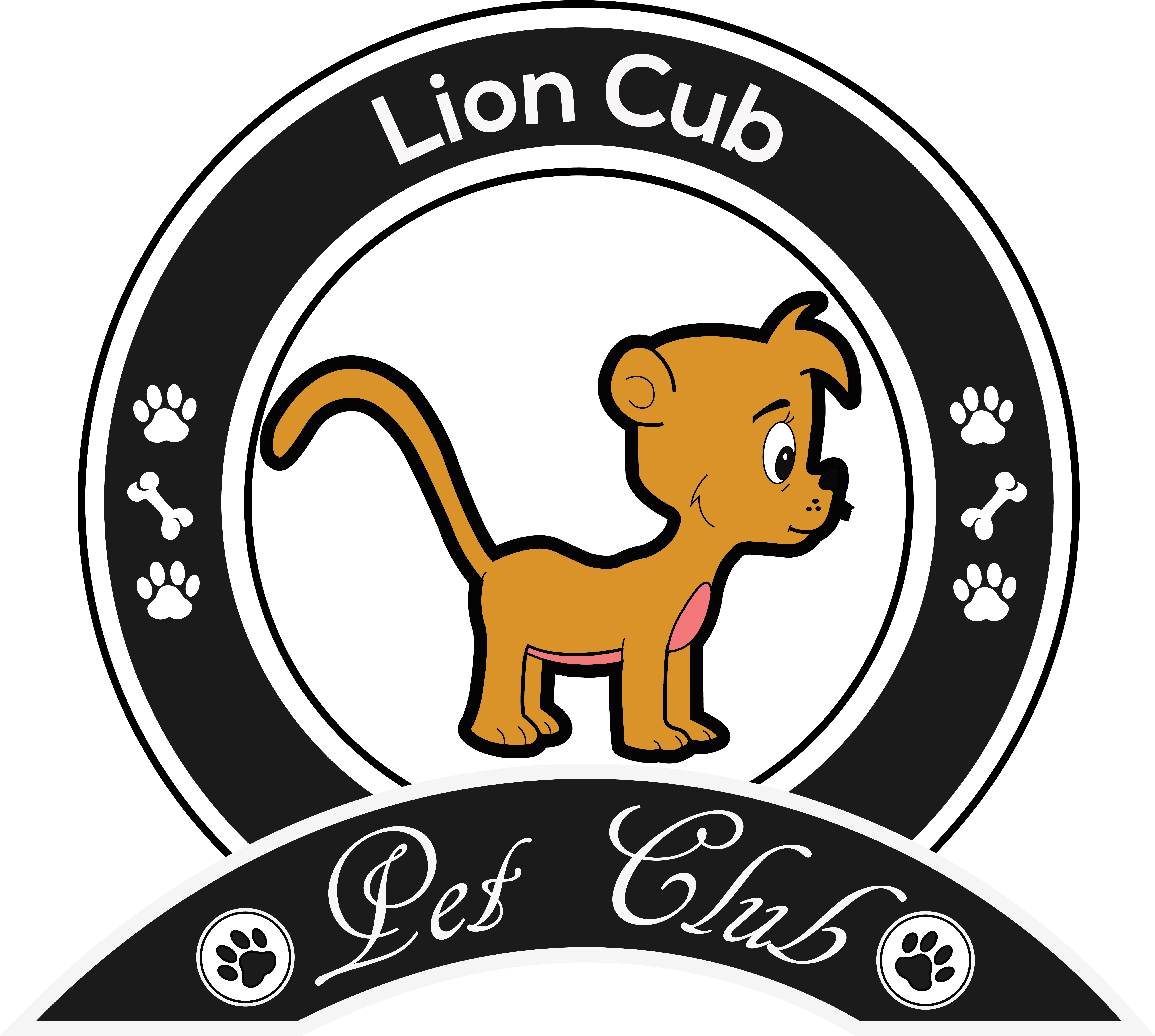 Download Lion Cub - Pig - HD Transparent PNG - NicePNG.com