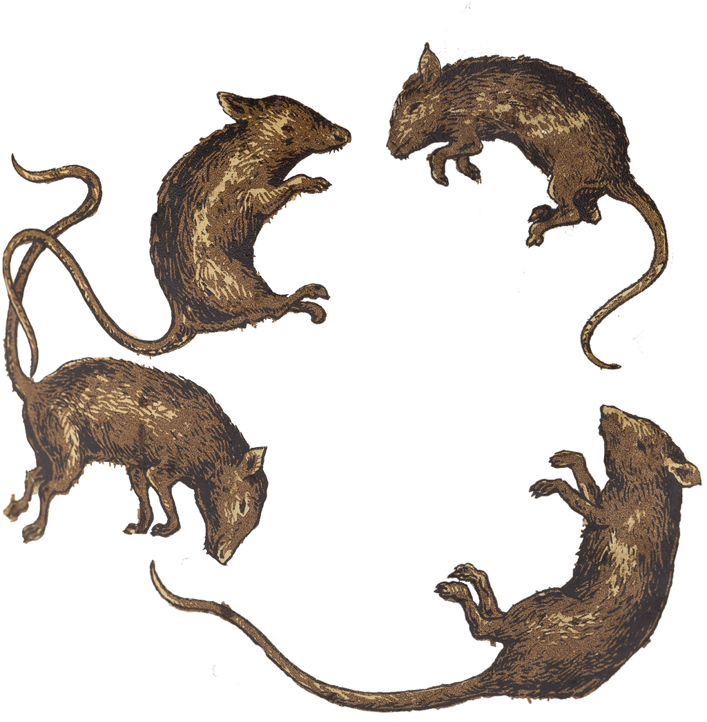 Download The Museum Of English Rural Life On Twitter - Mouse - HD ...