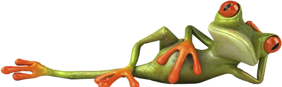 Download Have You Received A Frog Recently - Frog Lying Down Png - HD ...