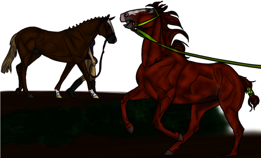 Download HD Mane Transparent PNG Image - NicePNG.com