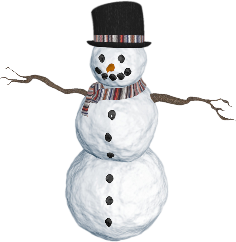 Download Transparent Real Snowman - HD Transparent PNG - NicePNG.com