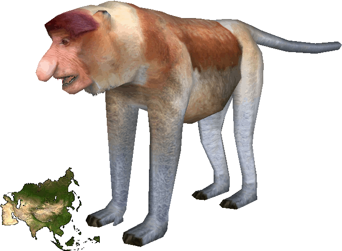 Download Proboscis Monkey Png - HD Transparent PNG - NicePNG.com