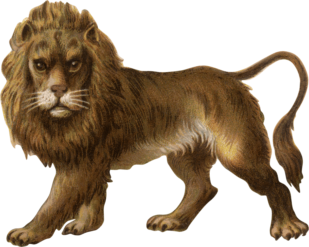 Download Victorian Vintage Lion - Lion Transparent - HD Transparent PNG ...