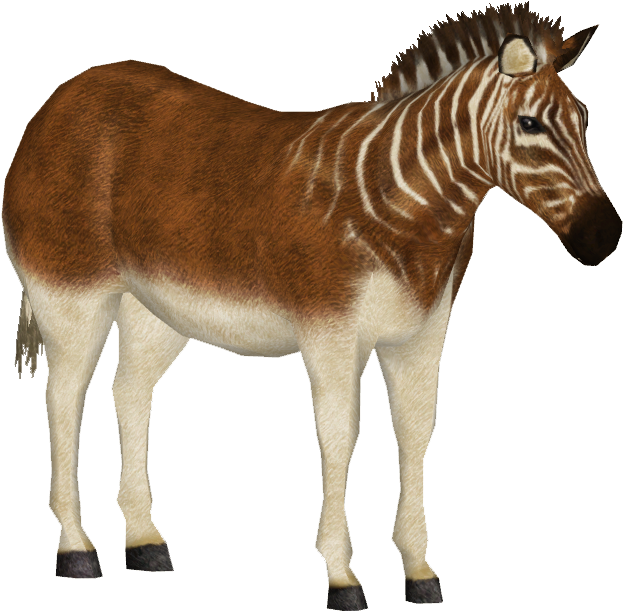 Download HD Quagga - Png Image Of Quagga Transparent PNG Image ...
