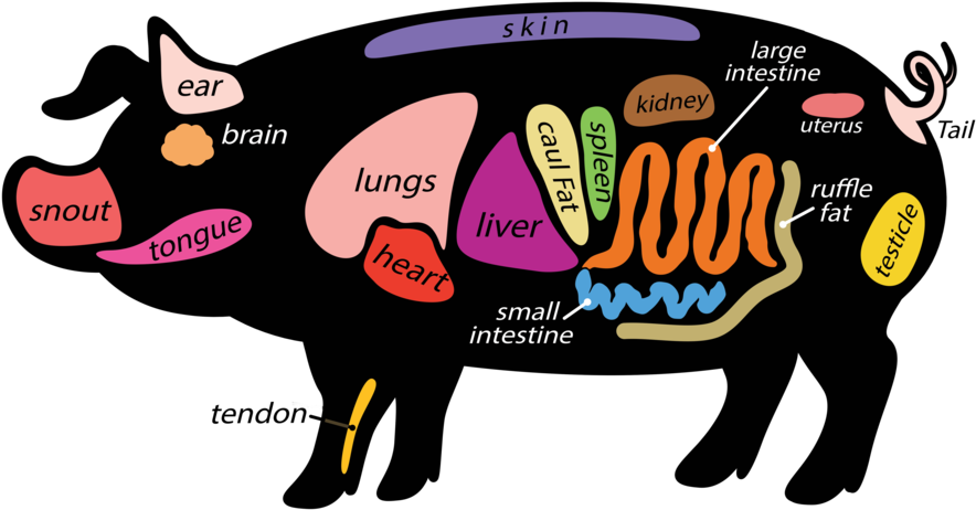 Download Pork Clipart Pig Tail - Pig Ruffle Fat - HD Transparent PNG ...