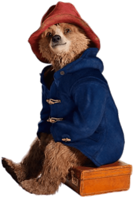 Download Descargar - Paddington Bear Paddington Memes - HD Transparent ...