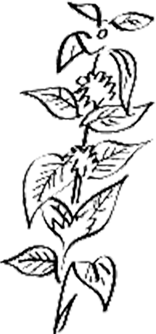 Download HD Prolog Logo Background - Prolog Logo Transparent PNG Image ...