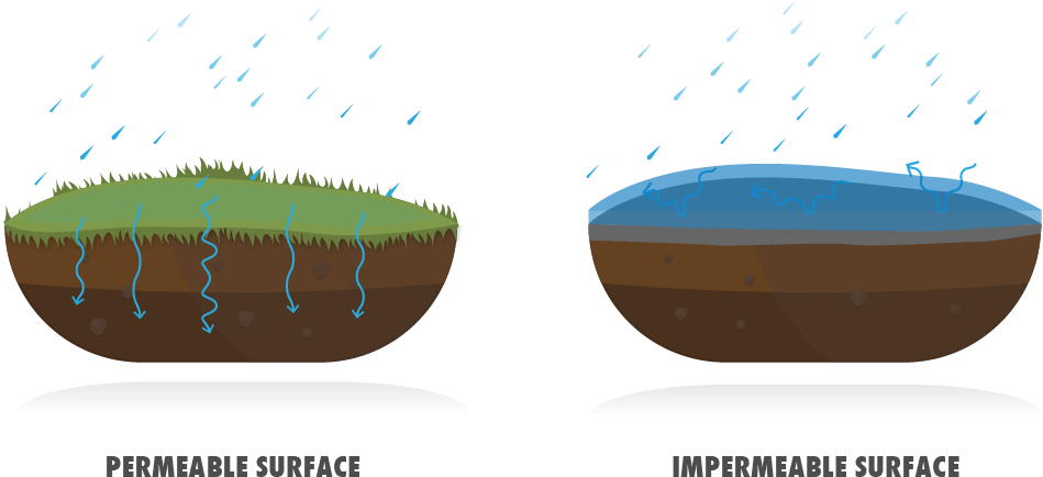Download Permeable Vs Impermeable - Raincoat - HD Transparent PNG ...