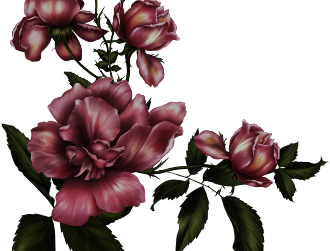 Gothic Rose Transparent Background Png Mart - Gothic PNG image free ...