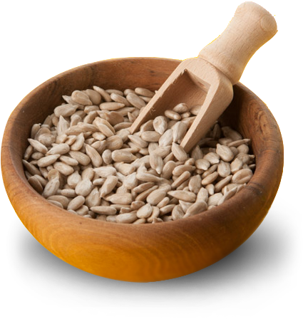 Download HD Malt Transparent PNG Image - NicePNG.com