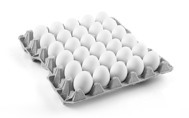 Download White Egg Tray Png - HD Transparent PNG - NicePNG.com