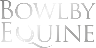 Download HD Letterone Logo Png Transparent PNG Image - NicePNG.com