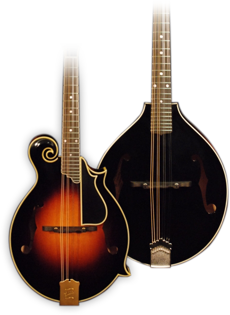 Download Ellis Mandolins - Mandolin - HD Transparent PNG - NicePNG.com