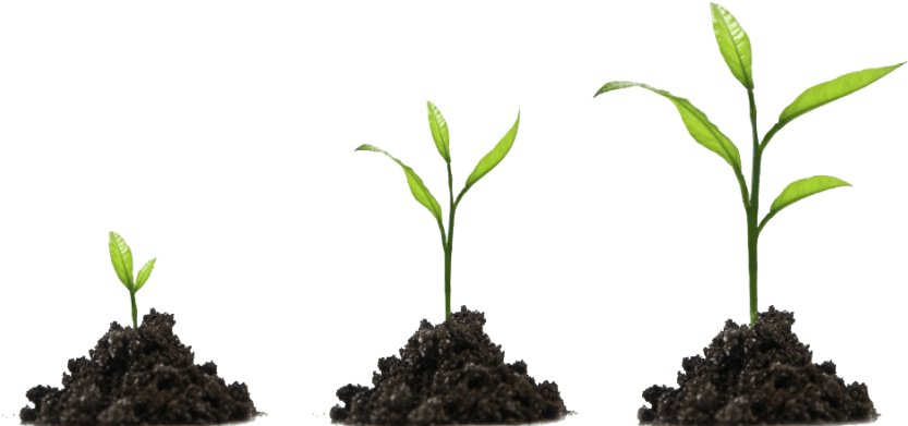 Download 3 Steps To Growing Your Law Practice Through Blogging - Plant ...