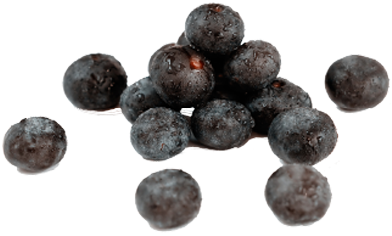 Download Acai Berry - Cains Of Berries In The World - HD Transparent ...