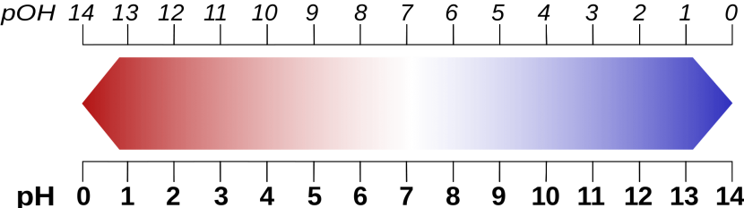 Download Escala De Ph - Ph And Poh Scale - HD Transparent PNG - NicePNG.com