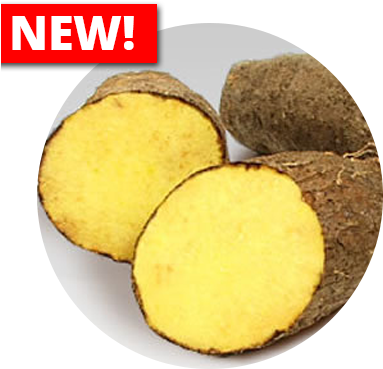 Download Yellow Yams - Yellow Yam - HD Transparent PNG - NicePNG.com