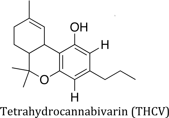 Download Thcv Molecule - Thc Structure - HD Transparent PNG - NicePNG.com