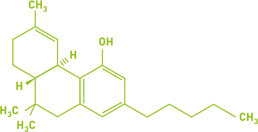 Download HD Thc & Thca - Diagram Transparent PNG Image - NicePNG.com