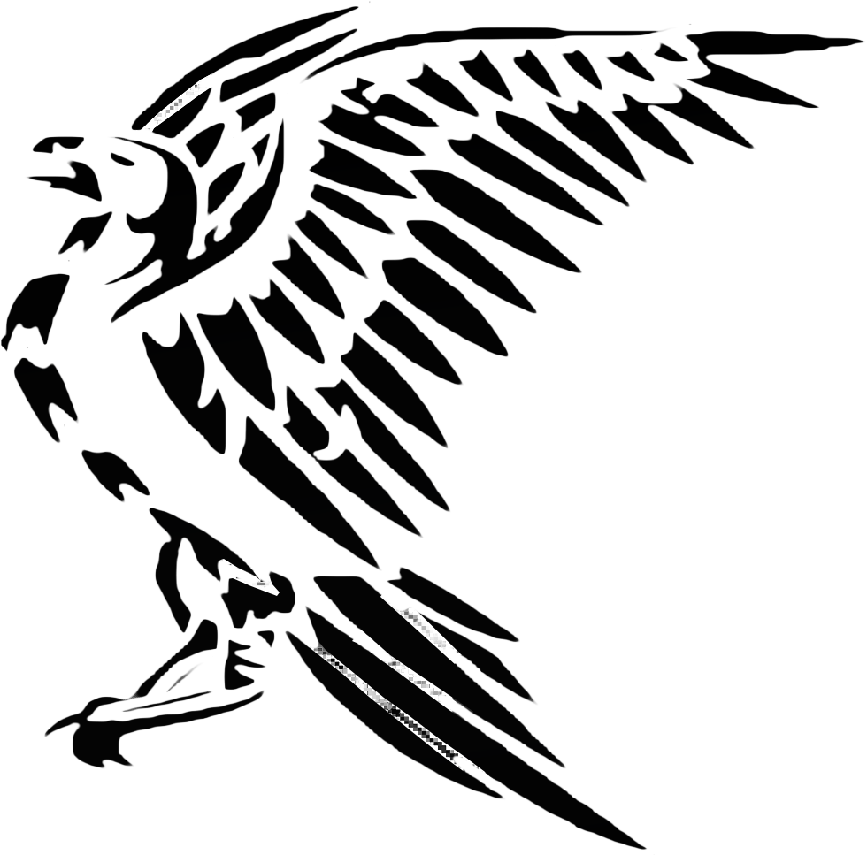 Download HD By Radheshyam Prajapat - Hawk Drawing Png Transparent PNG ...