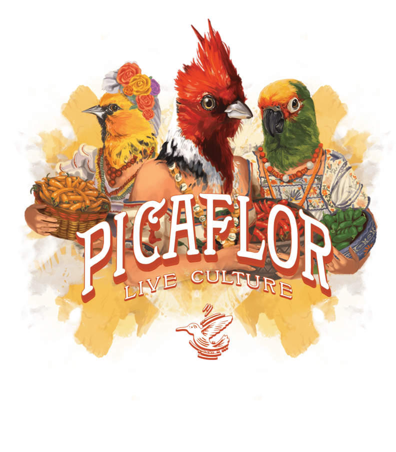 Download HD Picaflor Birdladies - Culture Transparent PNG Image ...