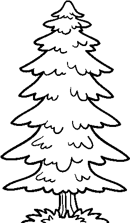 Download HD A Fir Coloring Page - Dibujo De Abeto Para Colorear ...