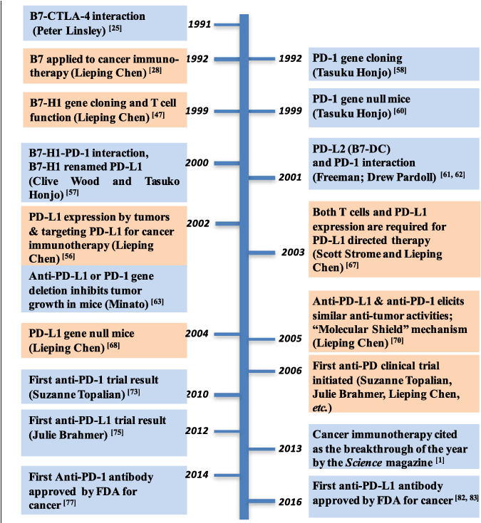 Download Timeline For Major Events Leading To The Development - Pd 1 ...