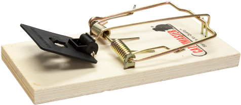 Download Mouse Traps - Davespestdefense Catchmaster Rat Wooden Snap ...