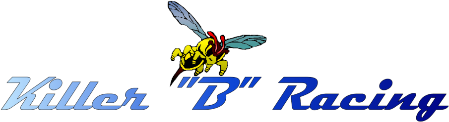 Download HD Killer Bee Racing - Africanized Bee Transparent PNG Image ...