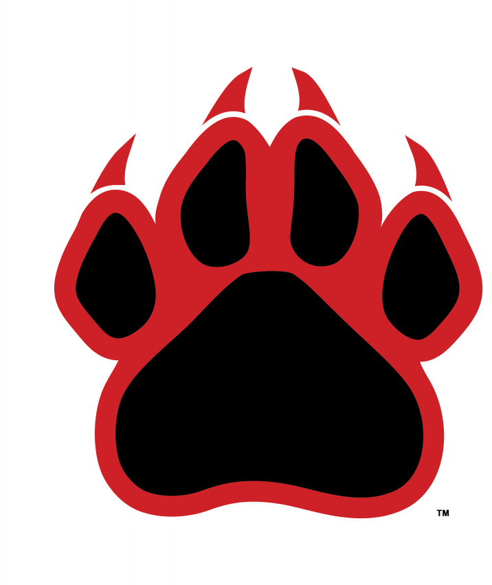 Download Garra De Tigre Png - HD Transparent PNG - NicePNG.com