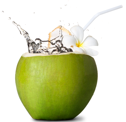 Download Coco Em Png - Green Coconut Coconut Png - HD Transparent PNG ...