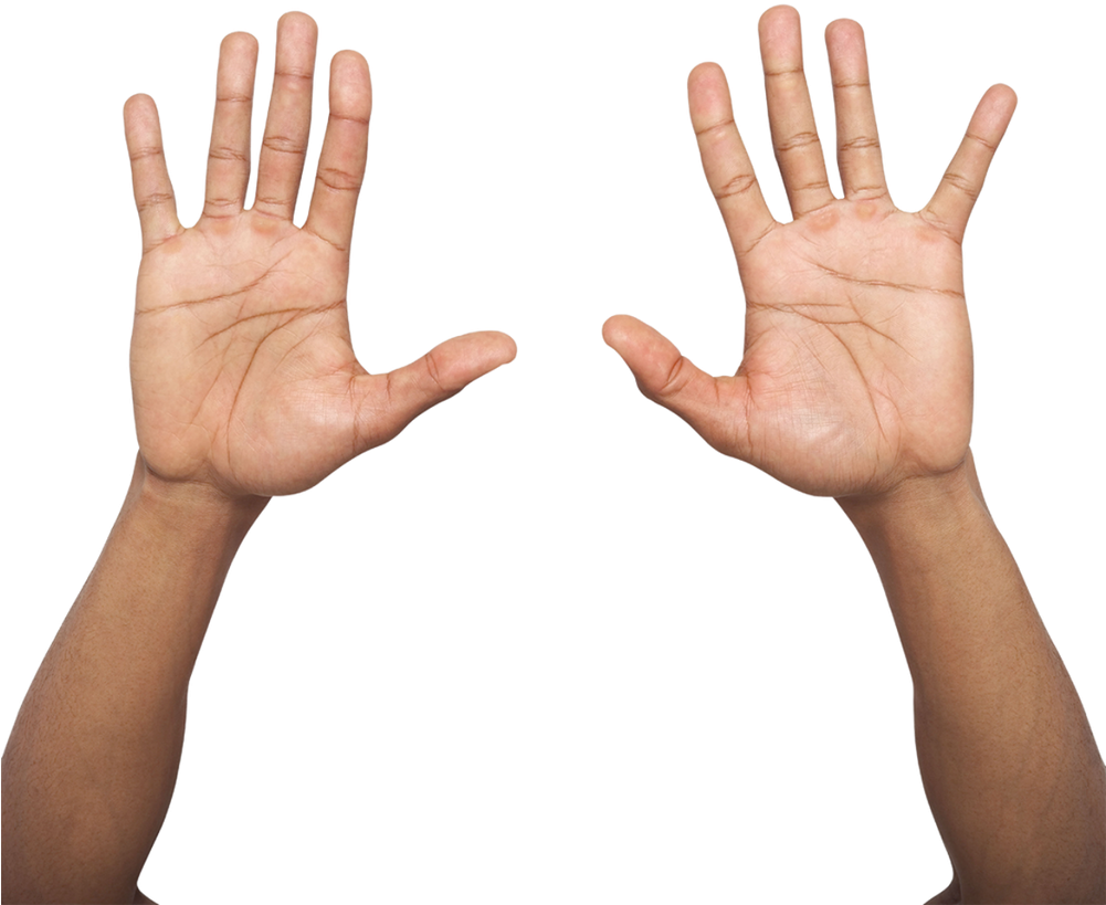 Download Hand Palm Up Png Two Hands Up Png Hd Transparent Png