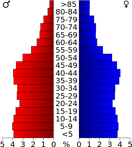 Download HD Demographics - Age Pyramid Usa Transparent PNG Image ...