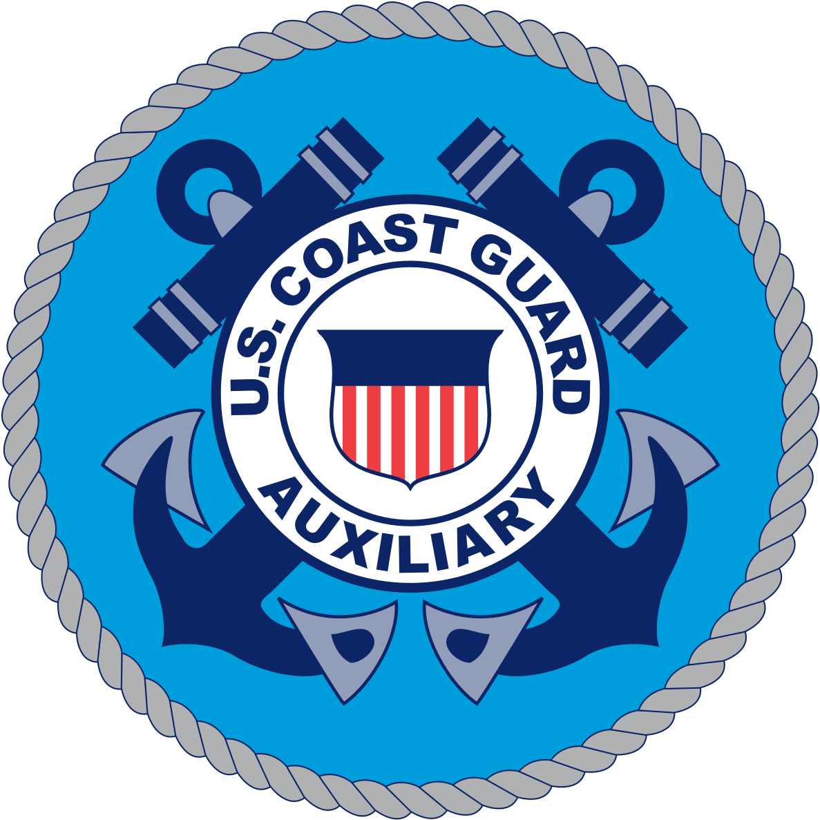 Download Coast Guard Aux Logo - HD Transparent PNG - NicePNG.com