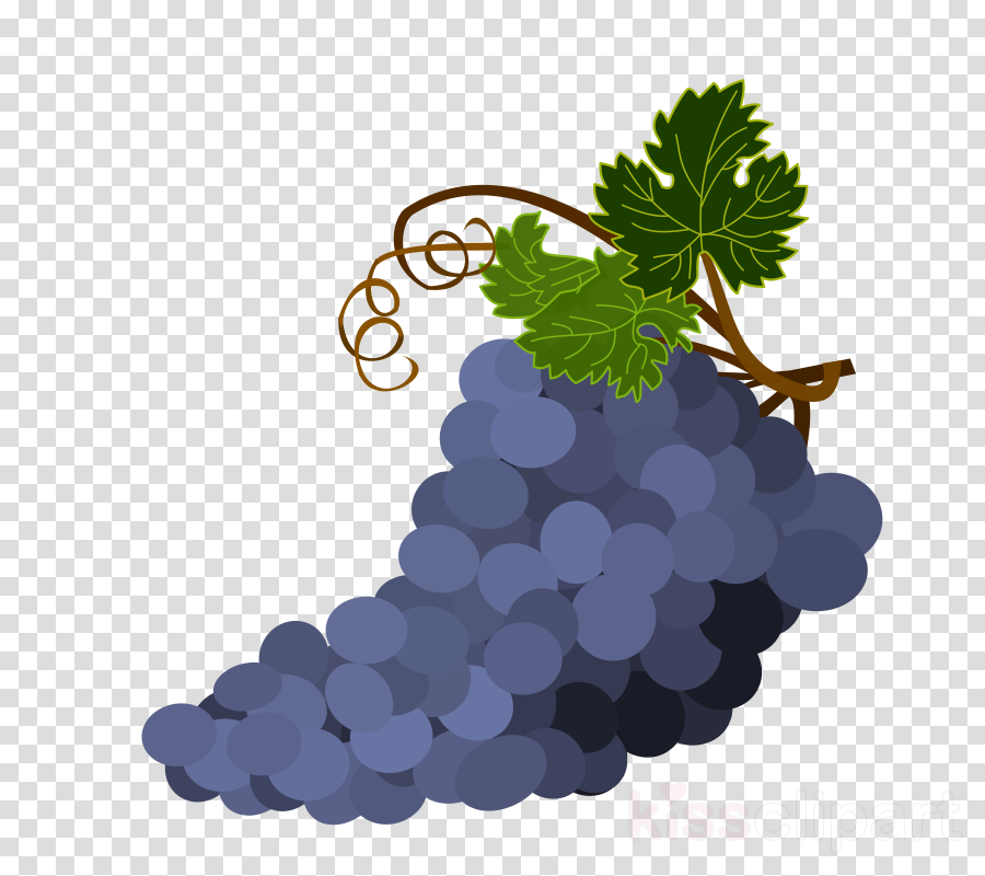 Download Download Bowl Of Grapes Transparent Background Clipart - Grape ...