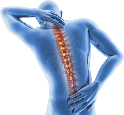 Download Spine Pain - Ankylosing Spondylitis: Diagnosis And Management ...