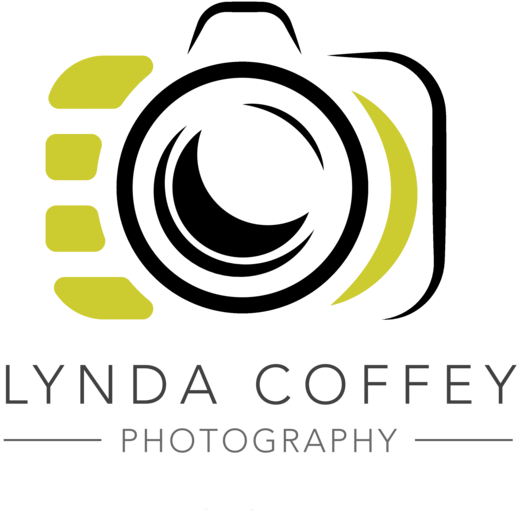 Download Full Camera Logo 2 Format=1500w - HD Transparent PNG - NicePNG.com