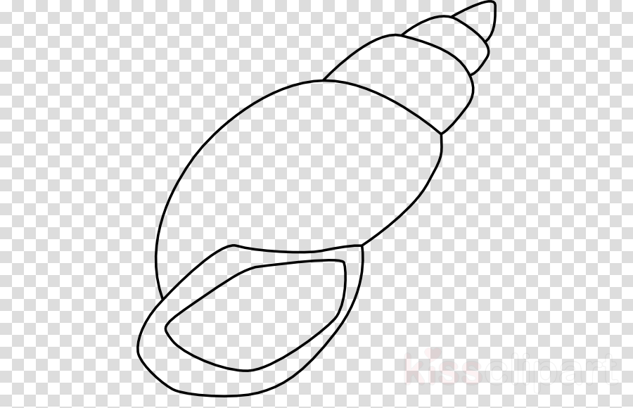 Download Sea Shell Outline Clipart Seashells Poster Clip Art - Quote ...