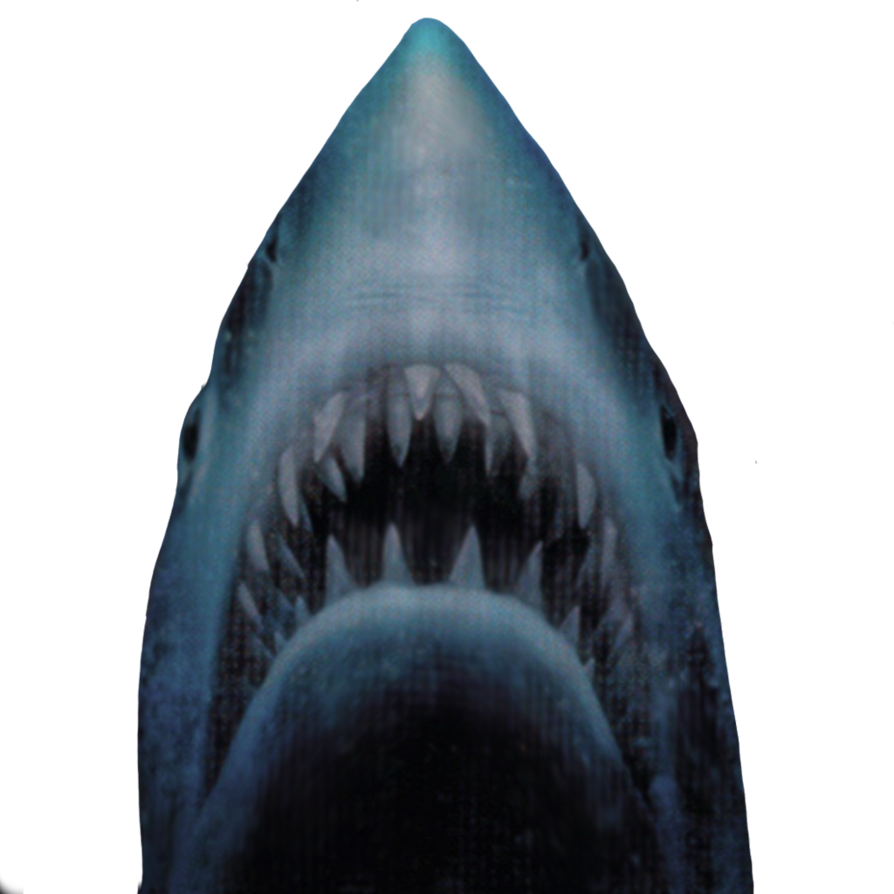 Download Jaws Png - Great White Sharks Jaws - HD Transparent PNG ...