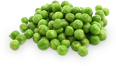 Download HD Semilla De Alberja Transparent PNG Image - NicePNG.com