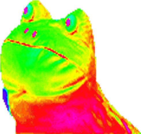 Download Crazy Frog - Dank Meme Rainbow Frog - HD Transparent PNG ...