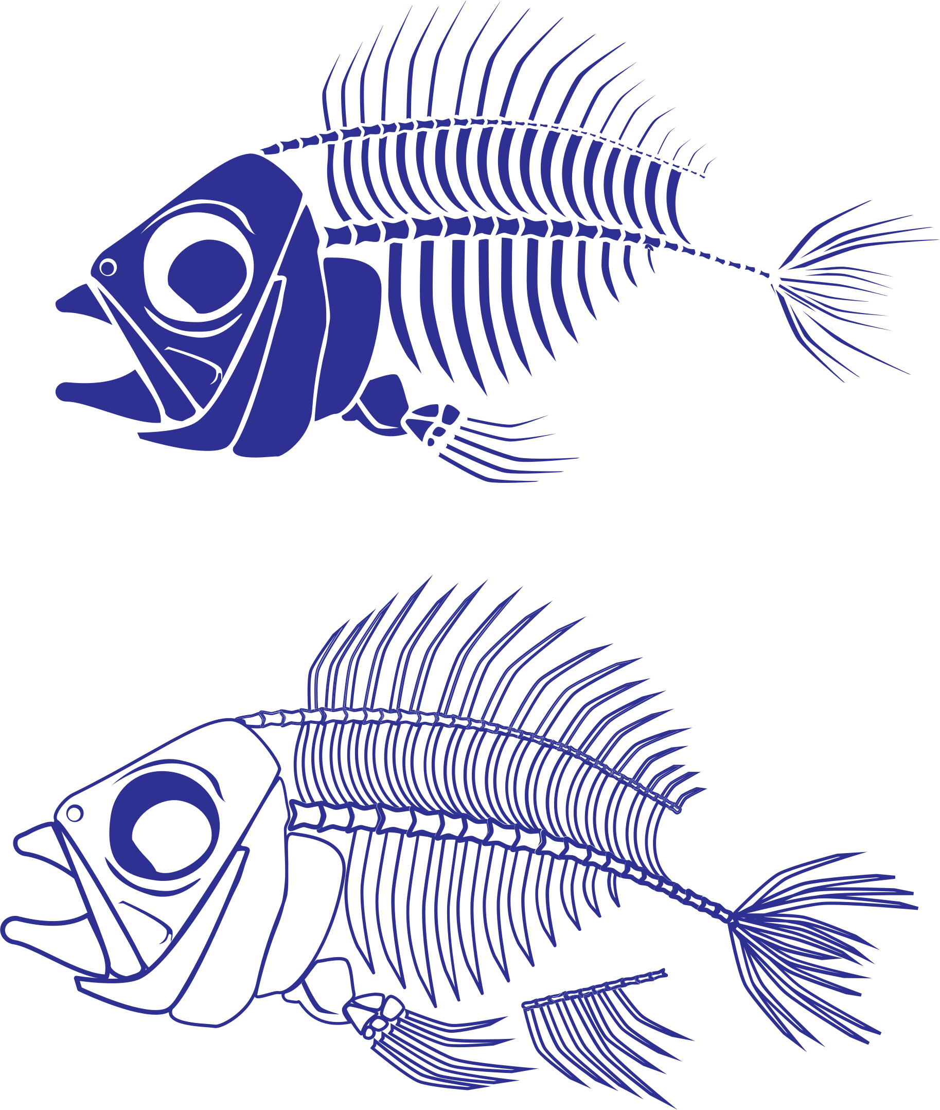 Download HD This Free Icons Png Design Of Fish Skeleton Transparent PNG ...