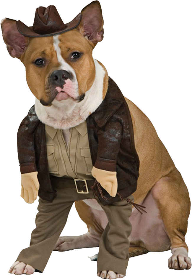 Download Funny Dogs Png Graphic Freeuse Stock - Dog Costume With Hands ...