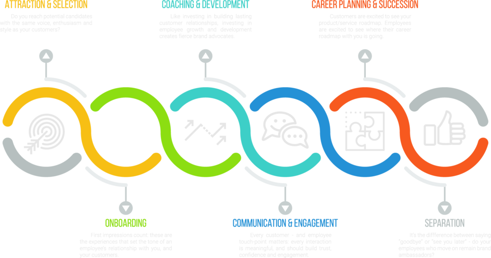 Download Employee Lifestyle - Employee Lifecycle - HD Transparent PNG ...