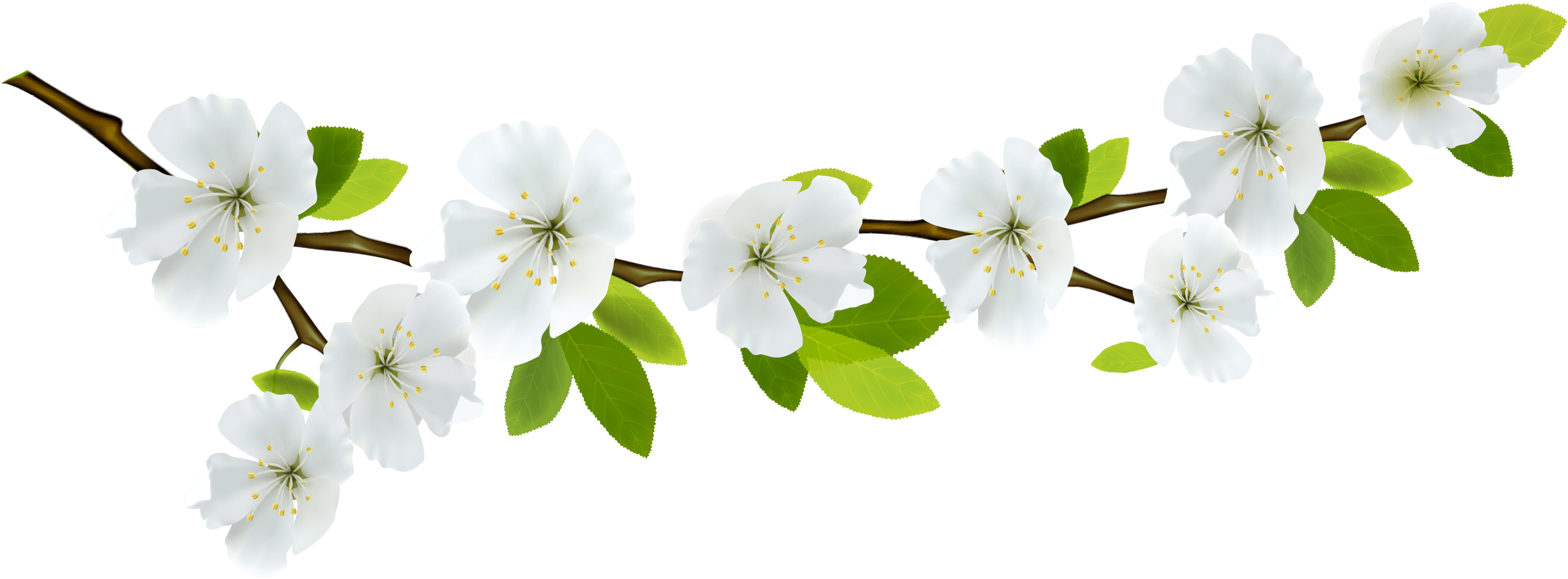 Spring Flower Divider