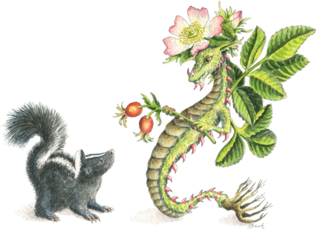 Download Hbdragon Wild Rose Dragon And Skunk - Rose - HD Transparent ...