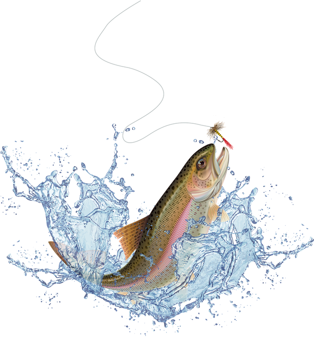 Download Go To Image - Transparent Jumping Fish Png - HD Transparent ...